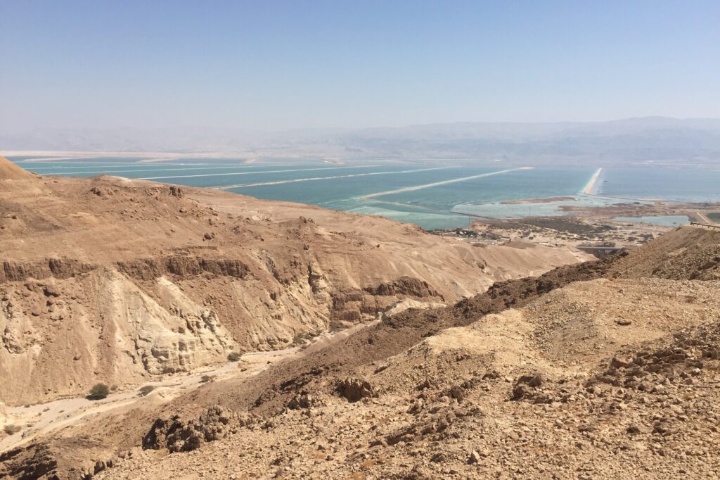New Discovery on AI Reveals Dead Sea Scrolls Are Older - Linkdood ...